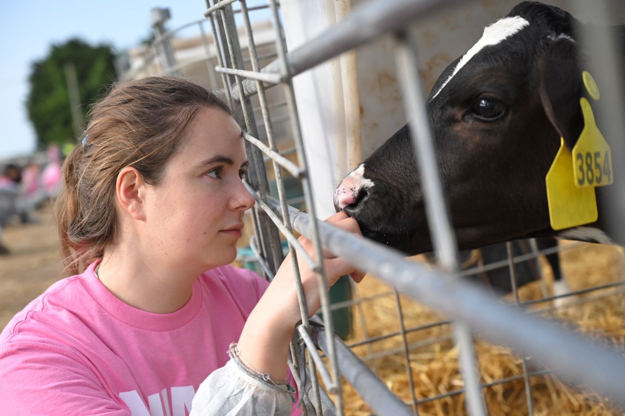 Animal Rising protestors disrupt Dorset dairy farm | The Purbeck ...