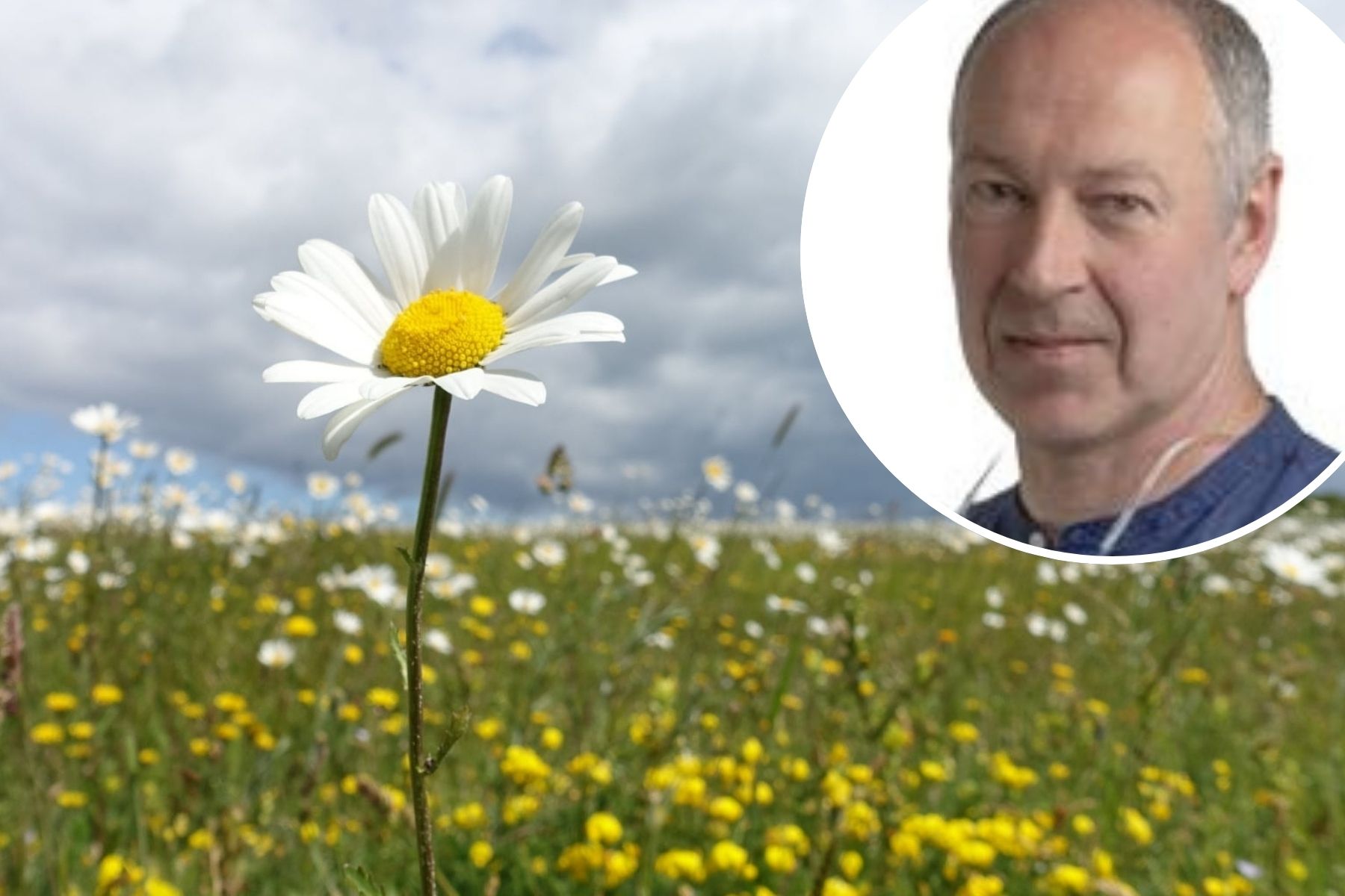 'Nature emergency' declaration in Dorset backed by leaders | The ...